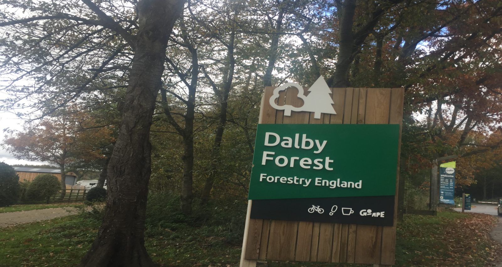 Dalby Forest - 13 Fascinating Walking Trails